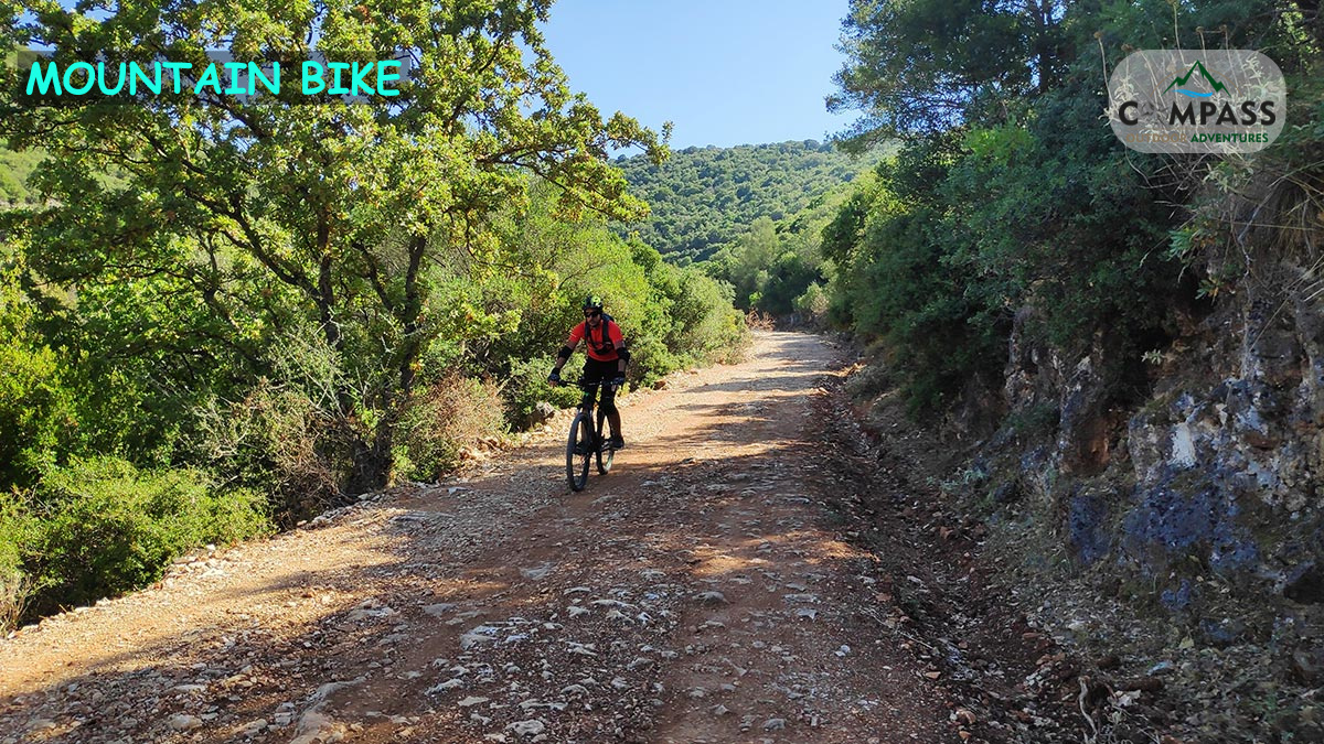 Mountain Bike – Compass Outdoor Adventures